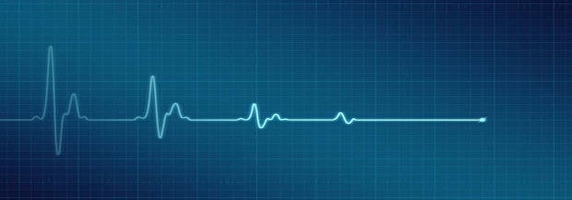 European Paediatric Advanced Life Support (EPALS) 01-02/11/2022 ...