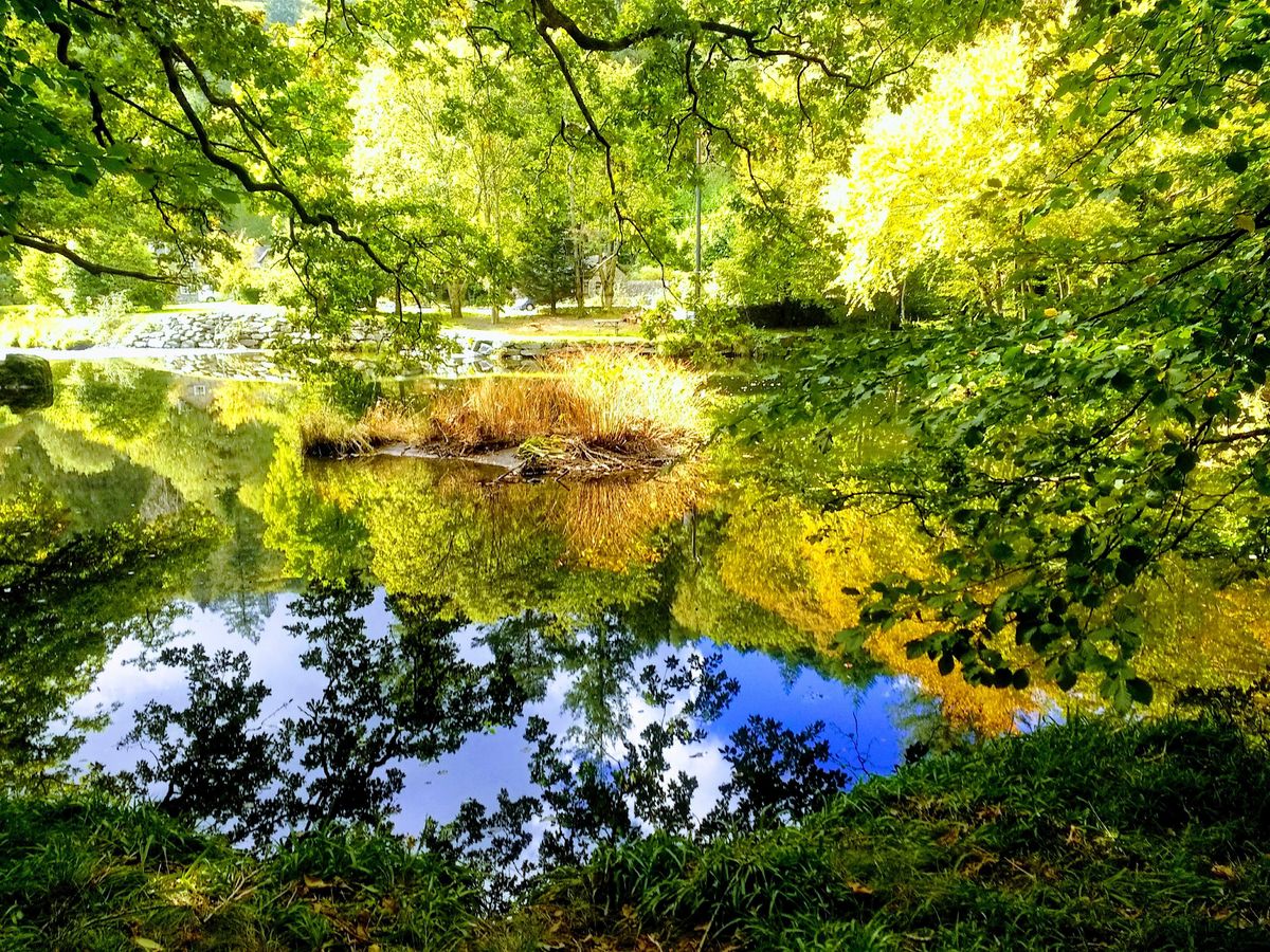 Nature recharge for HSPs, Hampstead Heath, London, 5 July 2023