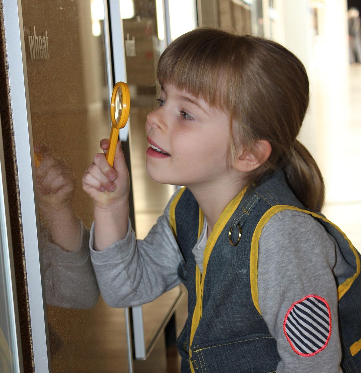 DISCOVER YOUR STATE LIBRARY: SELF GUIDED RESOURCE -Term 1 2022, State ...