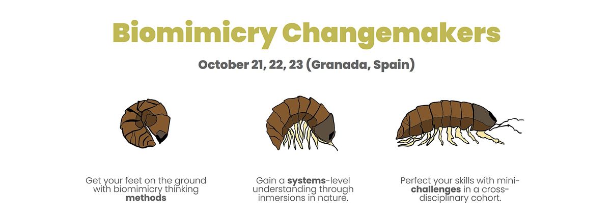 Biomimicry Changemakers, ESADA - Escuela Superior de Arte y Diseño de ...