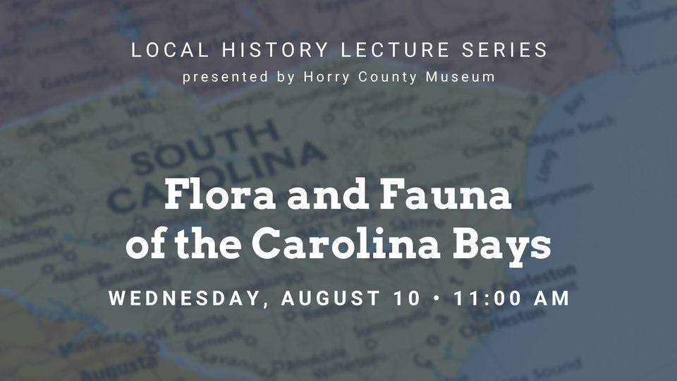 Local History with the Horry County Museum: Flora and Fauna of the ...