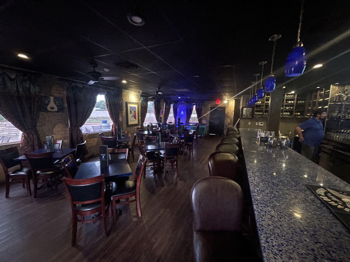 Blue Dog Spring Paint-N-Sip, The Blue Dog Wine and Martini Bar, Waco ...