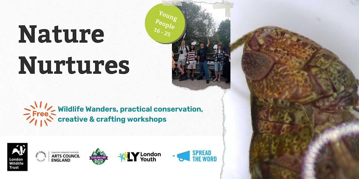 Nature Nurtures: Buzz Map Insect Mapping, Walthamstow Wetlands, London ...