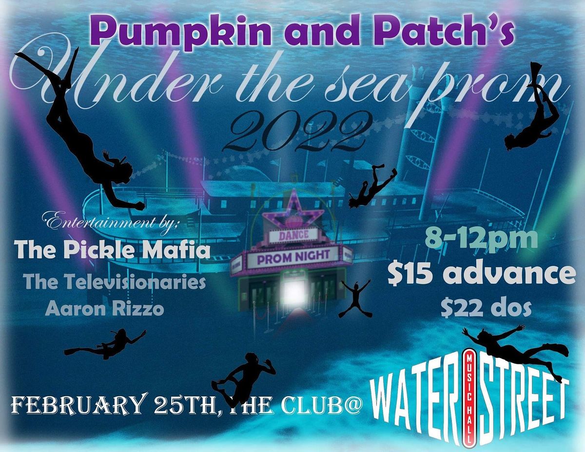 The Pickle Mafia w/ Televisionaries, Aaron Rizzo, The Club at Water ...