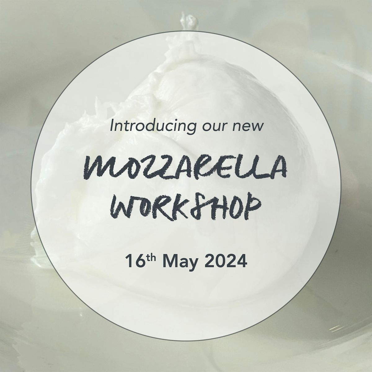 Mozzarella Making Workshop, Burts cheese, Holmes Chapel, 16 May 2024