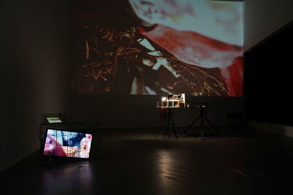 Artist-in-Residence Exhibition: Fuyuka Shindo & Ryusuke Ito, SW11 7AX ...