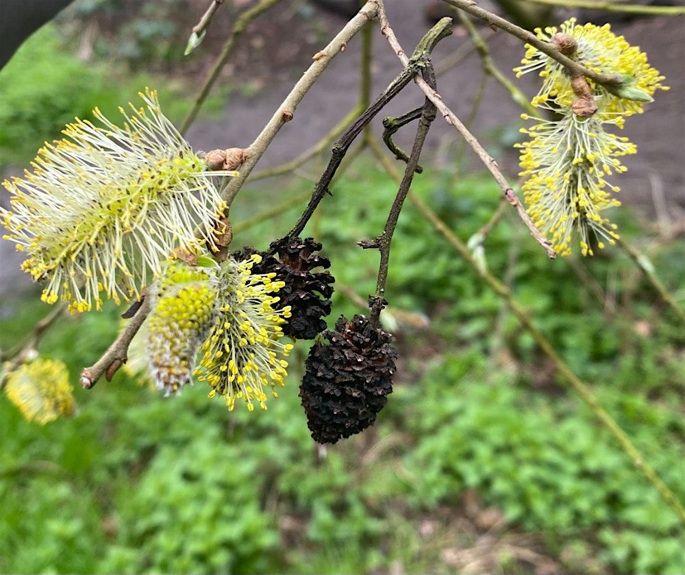 Forest School Stay and Play under-5s with their parents/carers, What3Words is silent.silks ...
