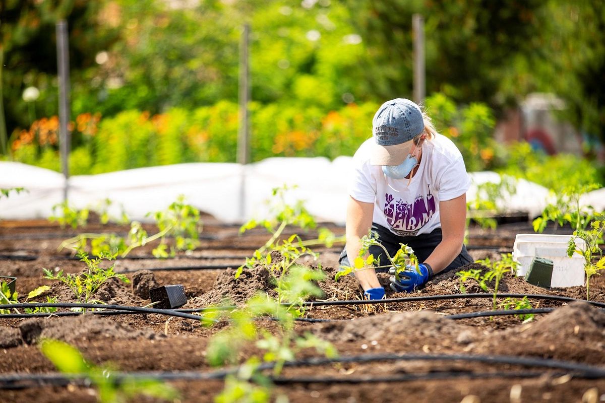UW Farm Harvest Dinner 2022 Fundraiser, Center for Urban Horticulture ...