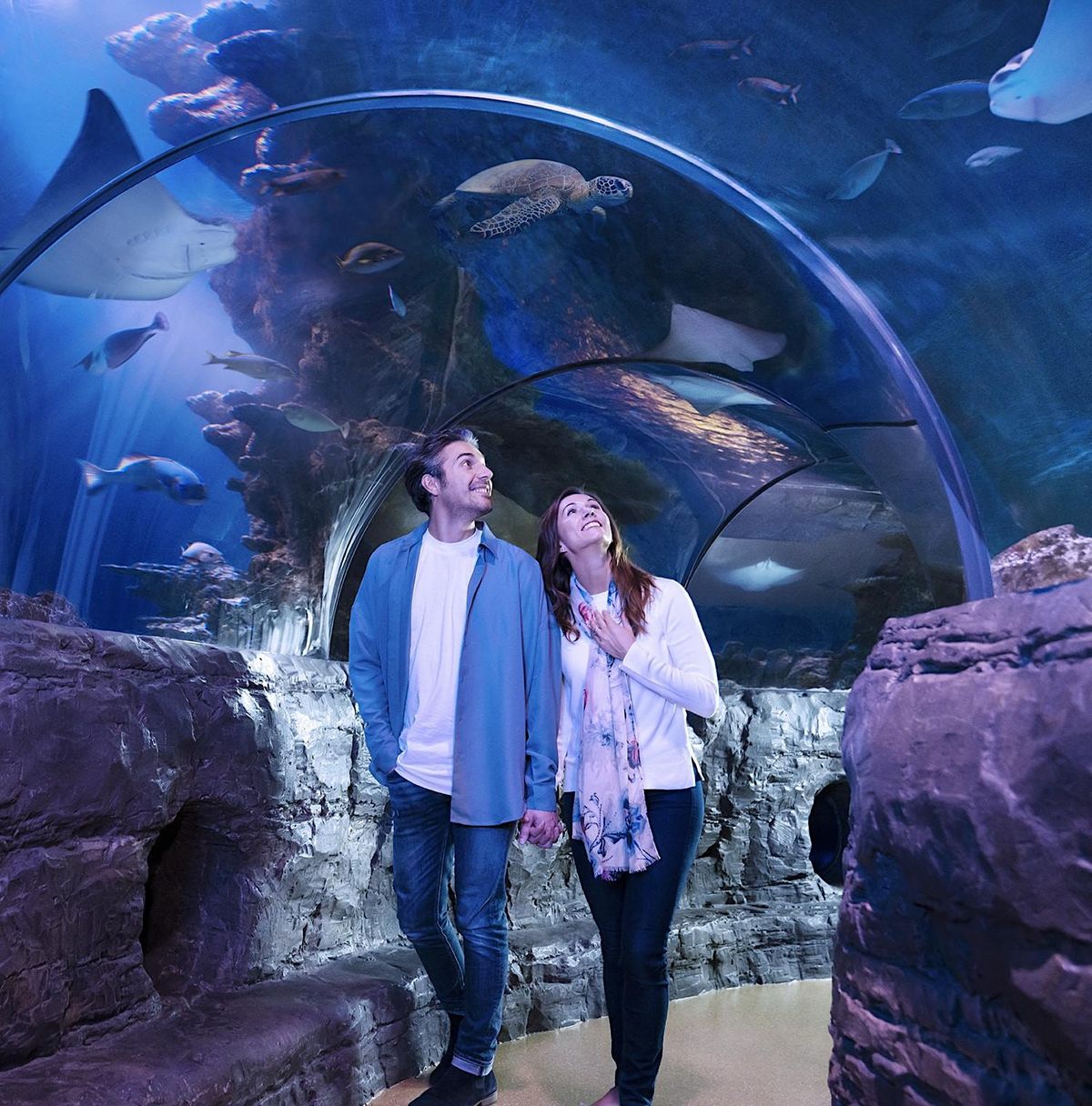 World Oceans Day: SEA LIFE London Aquarium Teacher Event, SEA LIFE ...