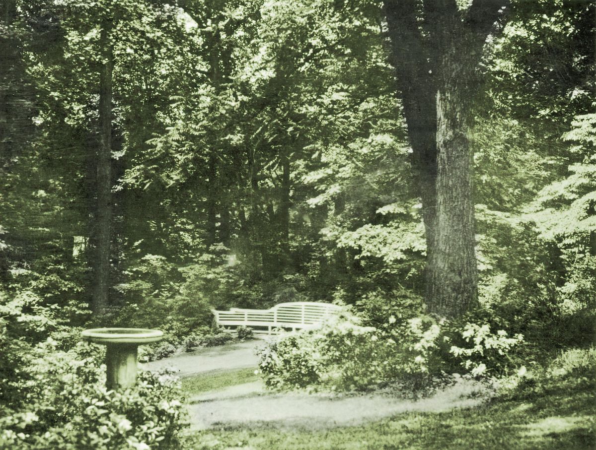 Tracing the Pathways of Tregaron with Anne Dawson, 3100 Macomb St NW ...