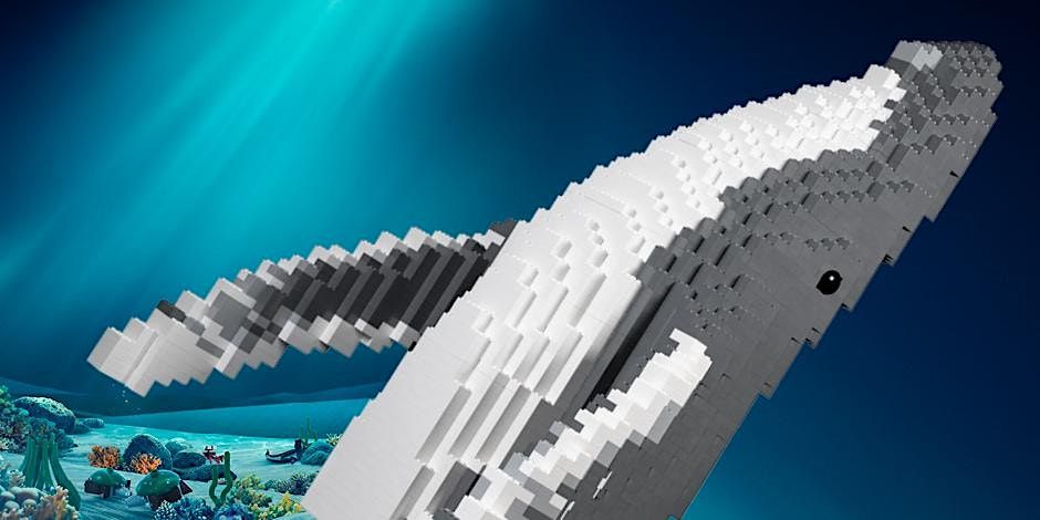 Epic Whale Build with The Brickman team, Australian National Maritime ...