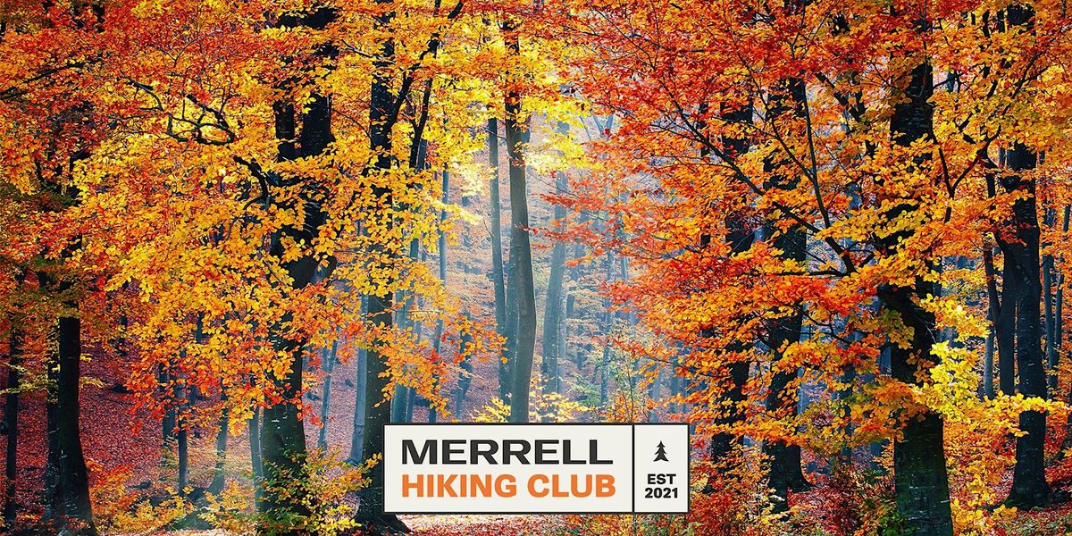 MHC UK: Autumn Art Hike: Finsbury Park to Alexandra Palace, Seven ...