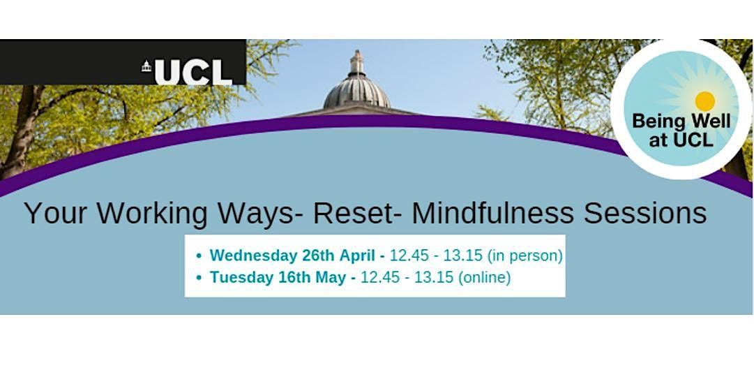 Mindfulness Session (In person) - Your Working Ways - Reset, Haldane ...