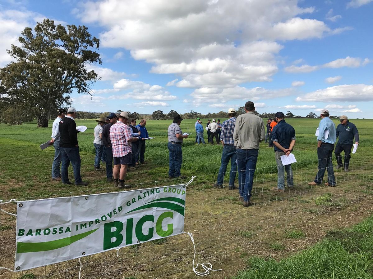 Wellbeing Session and AGM, Wanera Wine Bar, Angaston, 21 October 2021