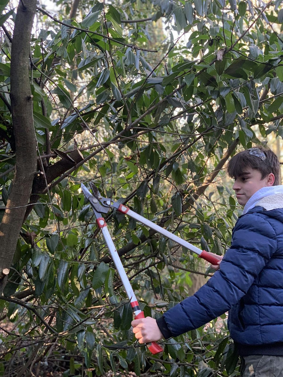 Laurel Removal at the River Chess Day 4, Restore Hope Latimer, Chesham ...