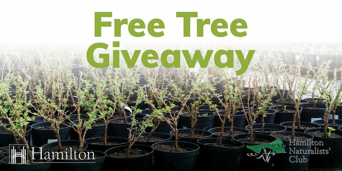 Free Tree Giveaway 2024: Bayfront Park Pick-Up, Bayfront Park, Hamilton ...