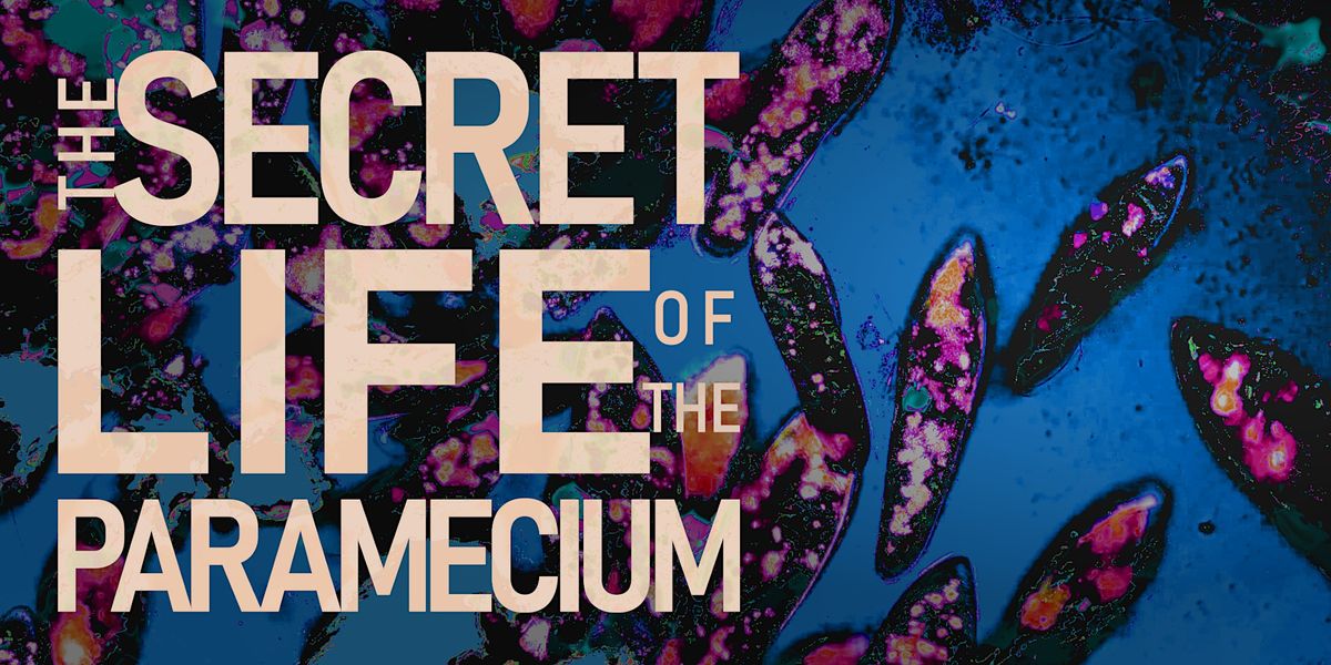 The Secret Life of the Paramecium, Dresher Ensemble Studio, Oakland, 16 ...