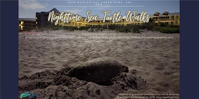 EAIs 2023 Nighttime Sea Turtle Walks, Ecological Associates, Inc ...