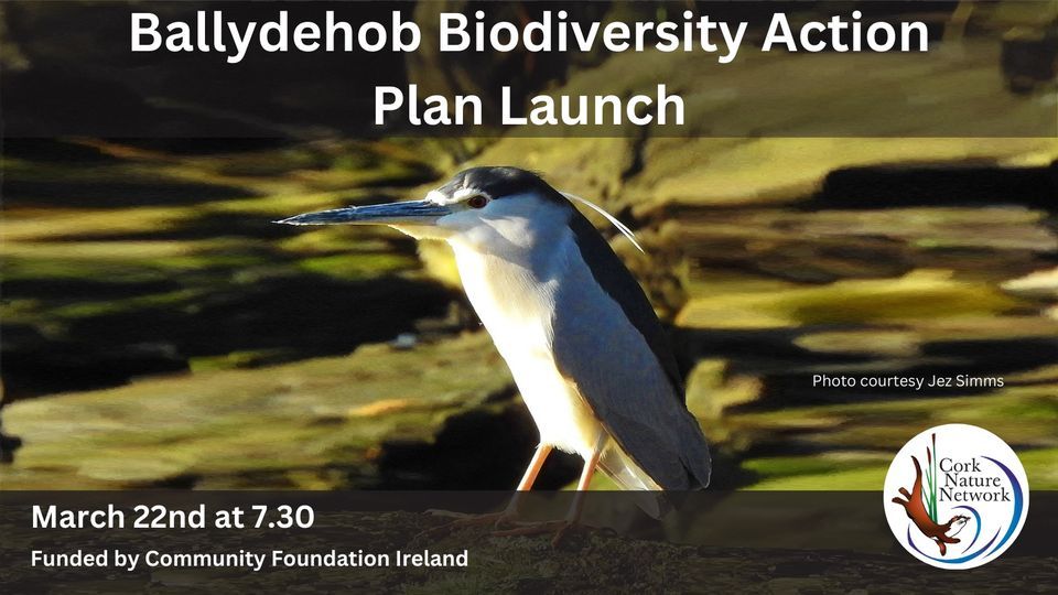 Ballydehob Biodiversity Action Plan Launch, Ballydehob Community Hall ...