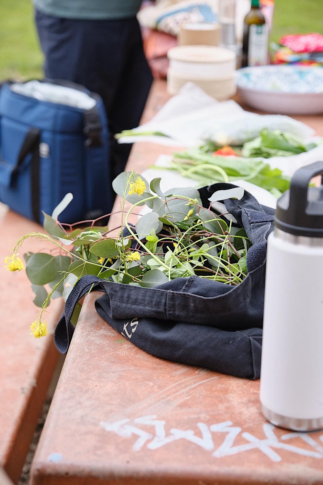 Invasive Plant Foraging Hike, Griffith Park, Los Angeles, 13 July 2023