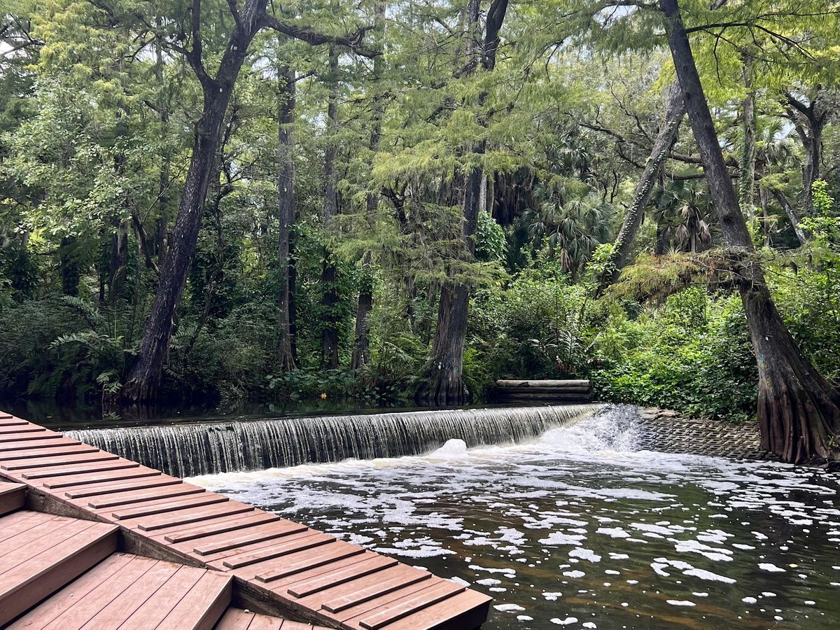 Lets Hike Jupiter! Powered by: Donnell McCant Outdoors!, Riverbend Park ...