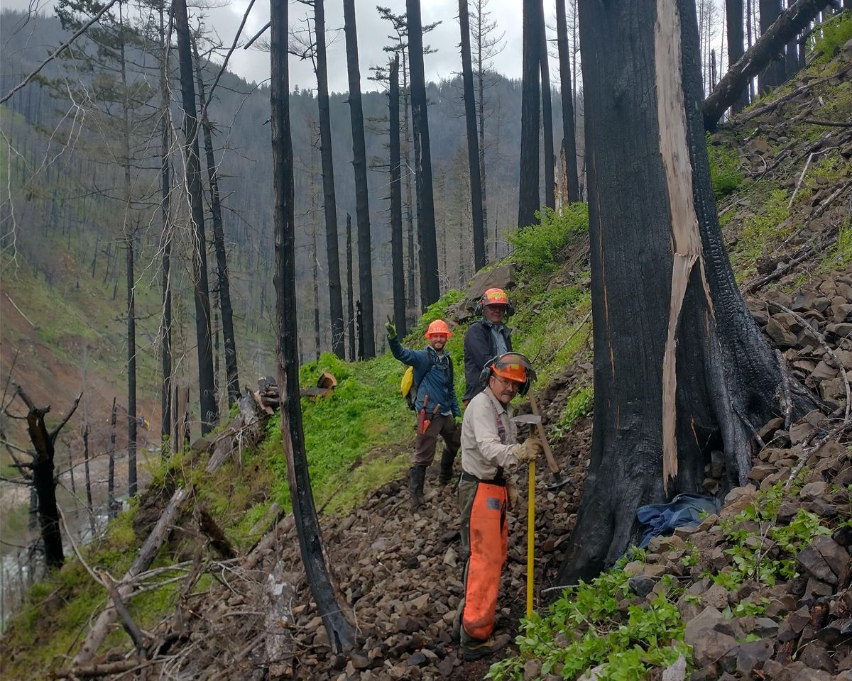 Clackamas River Tread and Drainage Trail Party (Fire Damaged), Parking ...