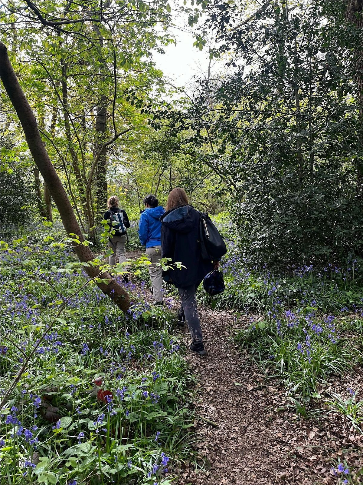 Forest Bathing+: a mindfulness-based session to relax the body and mind ...