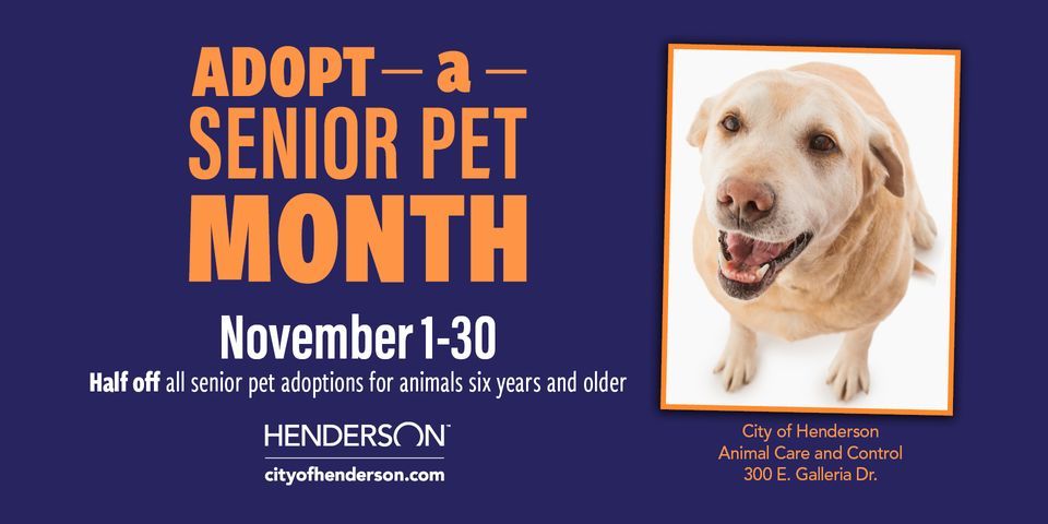 Adopt a Senior Pet Month, City of Henderson Animal Care and Control, 1 ...
