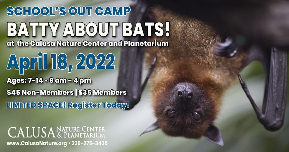 SCHOOLS OUT CAMP: Batty About Bats!, Calusa Nature Center & Planetarium ...