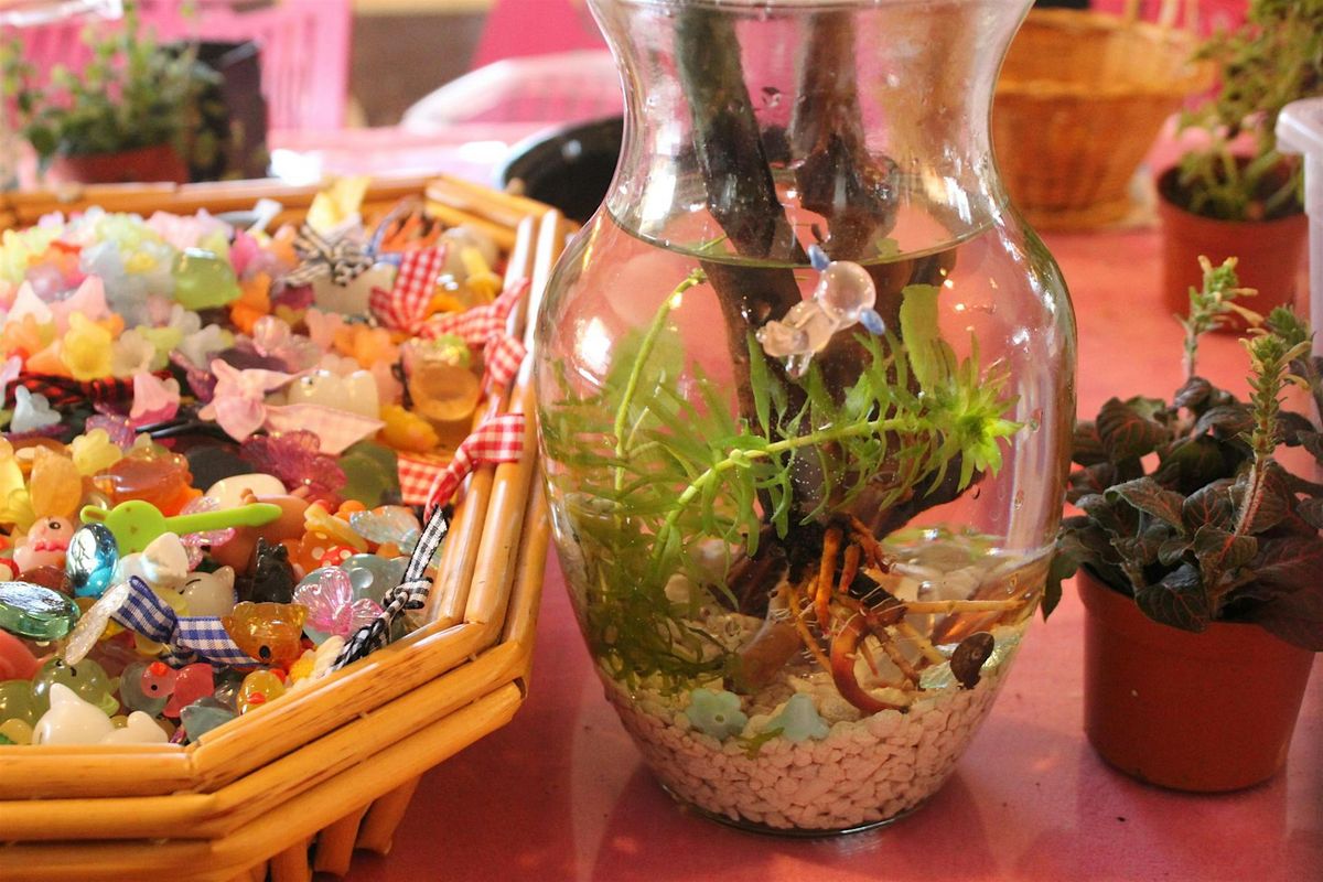 Make a Snail & Mangrove Tree Ecosystem in a Vase!, Easy Little Plants ...