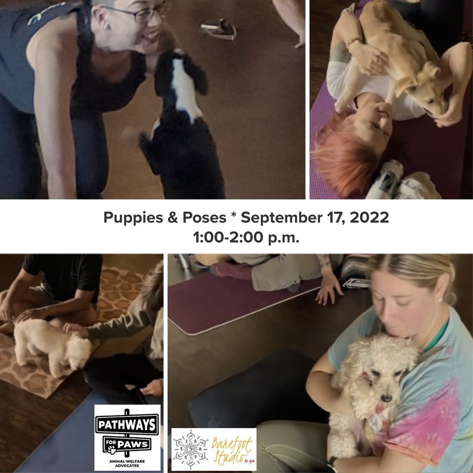 Puppies and Poses for Pathways for Paws, Barefoot Studio, Tucson, 17 September 2022