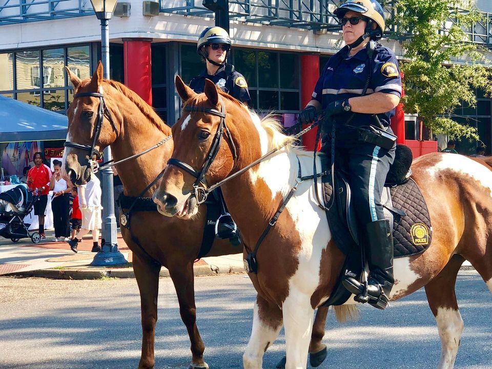 75th Annual Fish Bowl Classic Parade, High Street, Portsmouth, Va, 24 ...