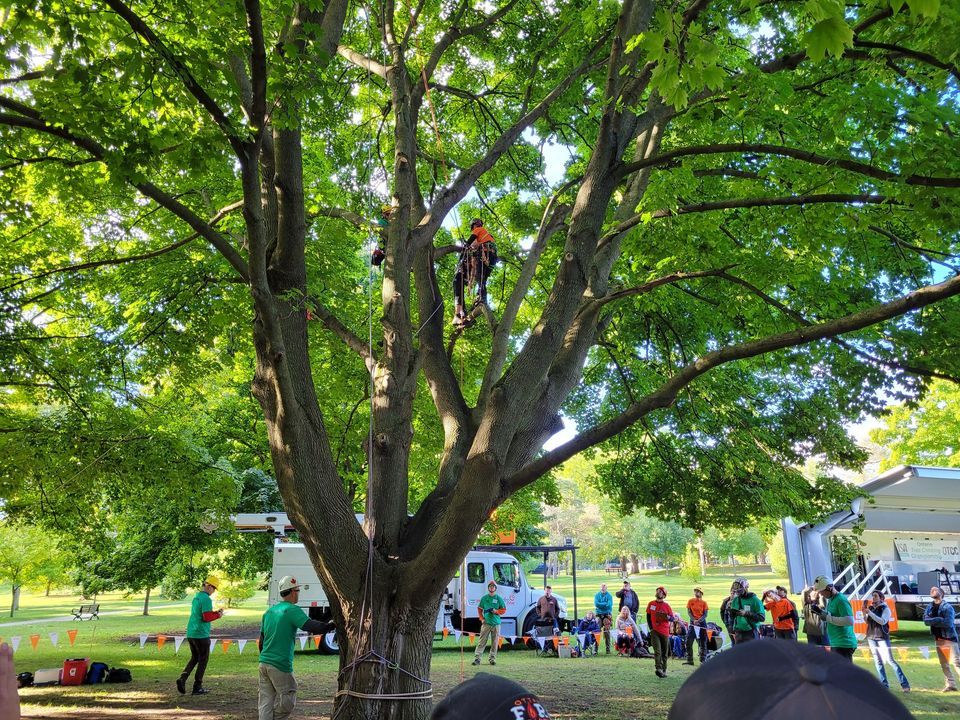 Ontario Tree Climbing Championship 2023, Lasalle Park, Burlington, 15 ...