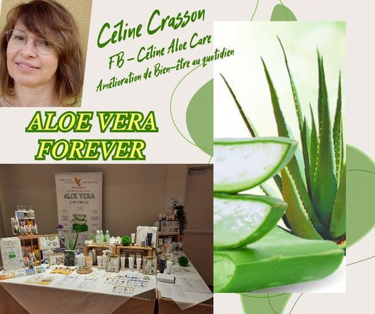 LES BIENFAITS DE LALOE VERA POUR NOTRE ORGANISME PAR CELINE CRASSON ...