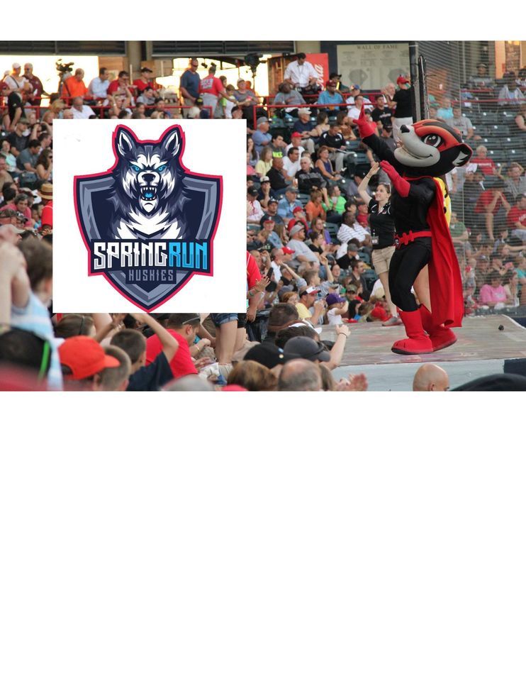 Husky Day at The Diamond Flying Squirrels , Richmond Flying Squirrels ...