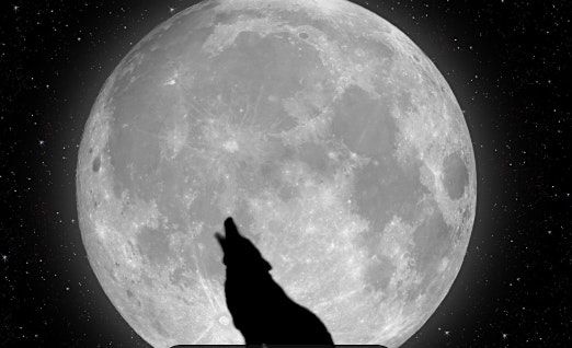 Stillness: The Wolf Moon Sound Bath with Amy, Maud Hardman Hoyle Memorial Hall (Hammer Hall ...