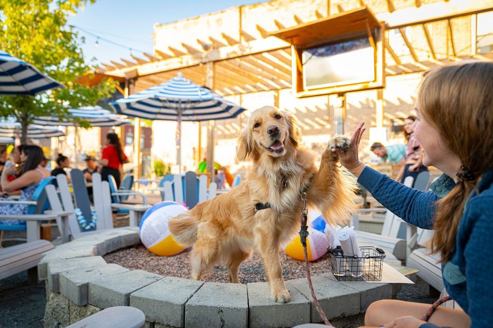 End of Summer Dog Luau Party, Park and Field, Chicago, 28 August 2022