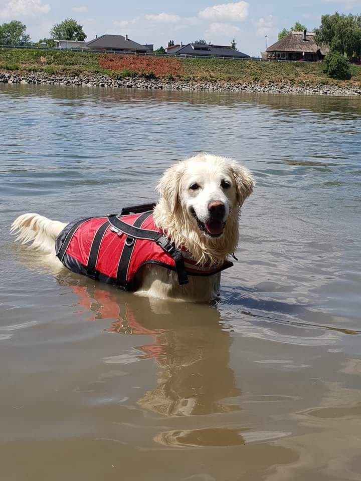 Amaro Fest 2023 - open air gipsy festival , Amfiteater Nitra, 22 July 2023
