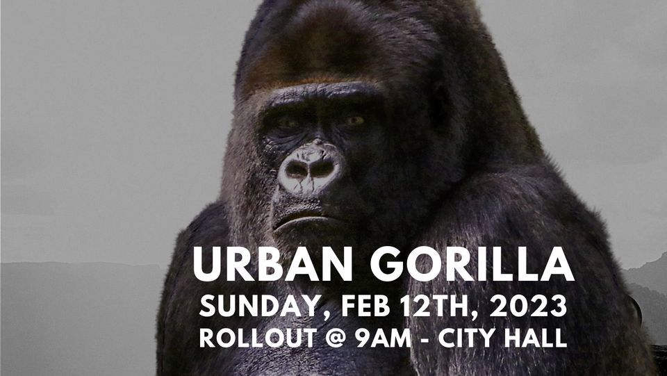 Urban Gorilla 2023, Tallahassee City Hall, 12 February 2023