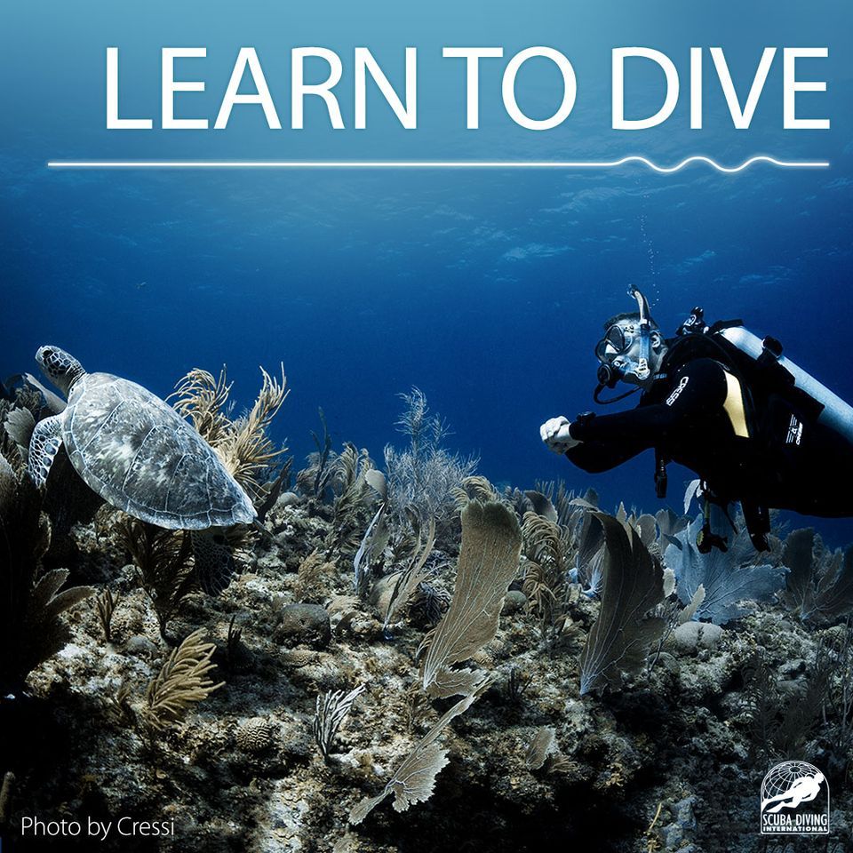 Explore, Discover, Learn to Dive! - SDI Open Water Scuba Diver - Part I ...