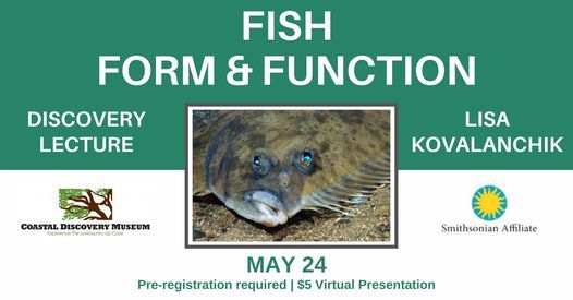 Fish Form & Function, Coastal Discovery Museum, Hilton Head Island, 24 ...