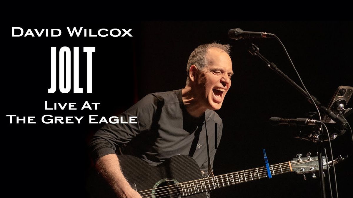 David Wilcox, Flato Markham Theatre, 25 April to 27 April