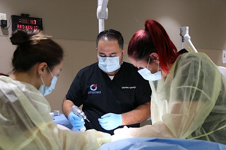 Stifle Disease: Cranial Cruciate Ligament Deficiency with MMP | Wet-Lab ...