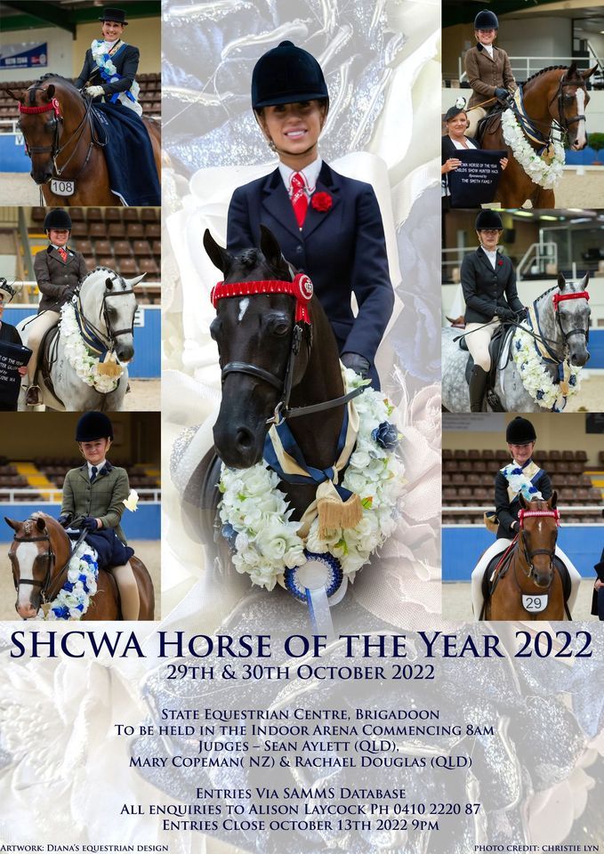 SHCWA HORSE OF THE YEAR/ DEBUTANTE/ FOUNDATION/THROROUGHBRED HORSE OF ...