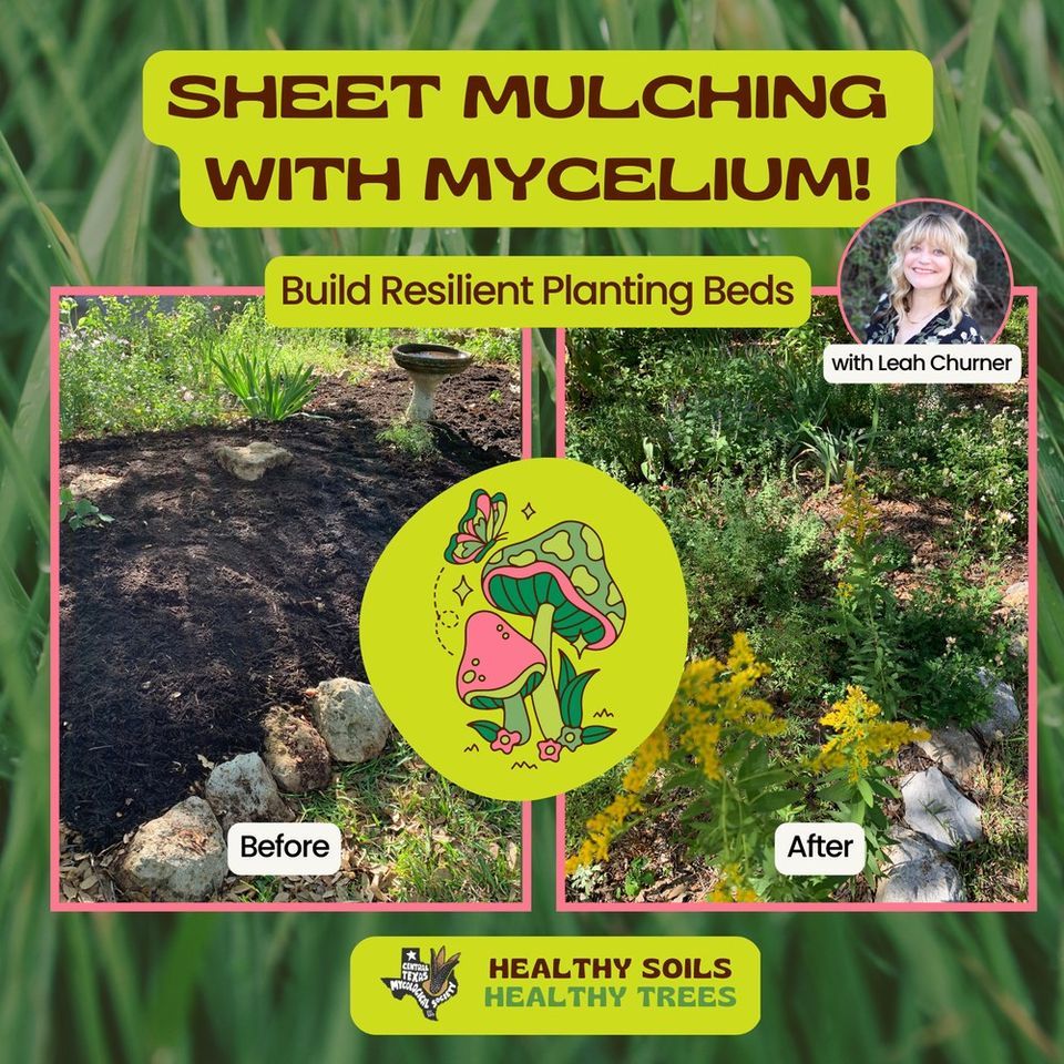 Sheet Mulching with Mycelium: Build Resilient Planting Beds!, Austin ...