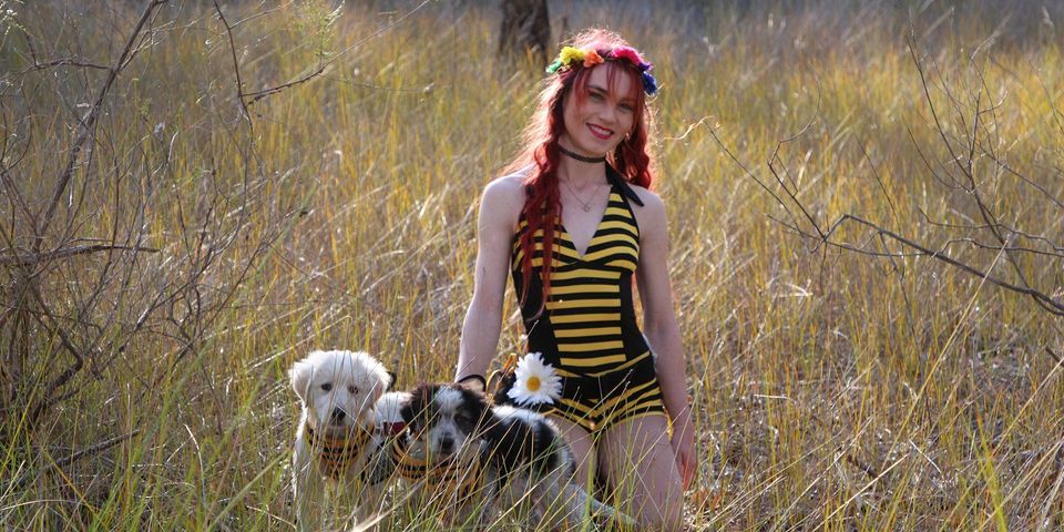 Australian Native Bee Talk with Dr Kit Prendergast, 17 Runnymede Road ...