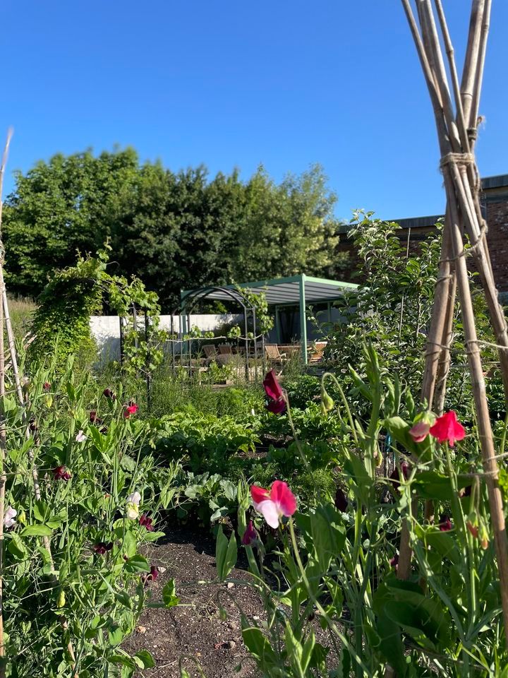 Creating a Climate Resilient Garden, Garden Organic, Coventry, 15 March ...