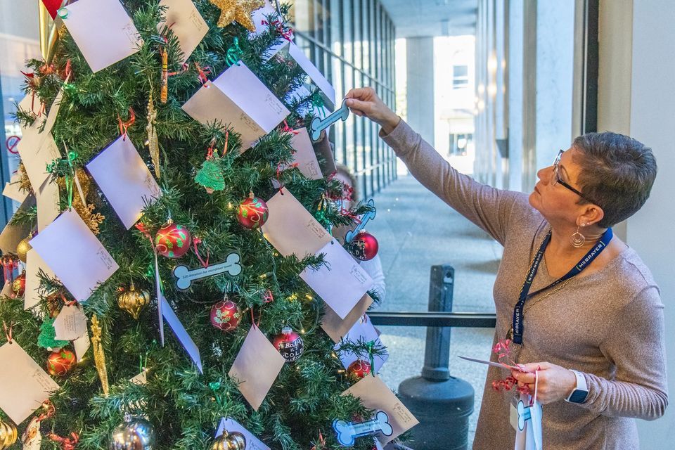 Fayette County CASA Angel Tree Lighting, McBrayer PLLC, Lexington, 7 ...