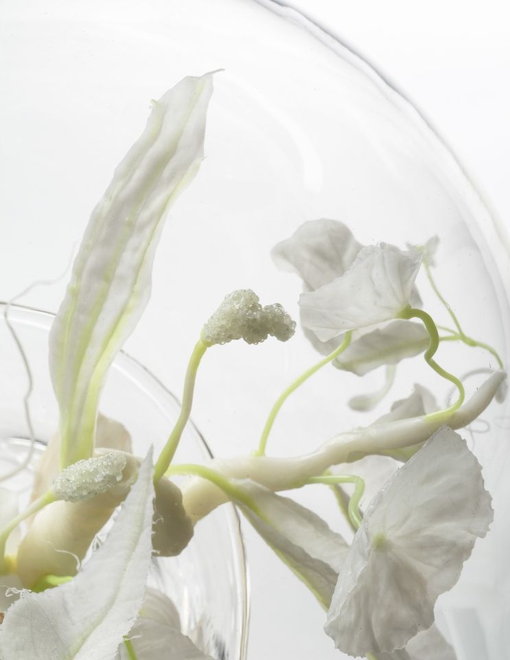 The Assembly Room: Catherine Truman, Carrick Hill, Adelaide, 12 March 2023