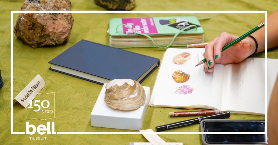 Meet Resident Artist Felicia Cooper, Bell Museum, Saint Paul, 19 ...